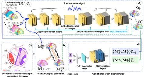 Proposed Deep Brain Multiplex Prediction Dbmp Framework From A Source Download Scientific