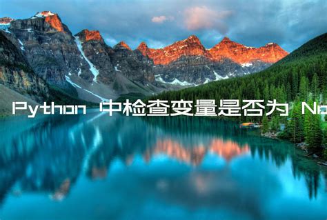 在 Python 中检查变量是否为 None 码微