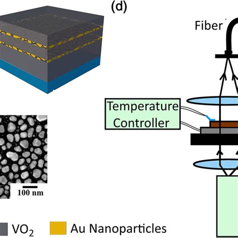Schematic Of A Fabricated A “single Au Np Layer” Stack And B “double Download Scientific