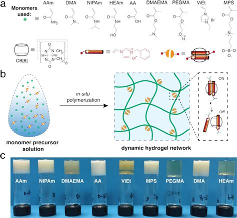 Toward A Versatile Toolbox For Cucurbit N Uril‐based Supramolecular Hydrogel Networks Through In