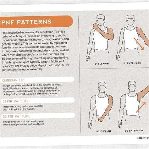 Pnf Patterns Adult And Pediatric Printable Resources For Speech And Occupational Therapists
