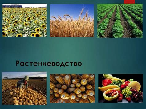 Агропромышленный комплекс России презентация онлайн