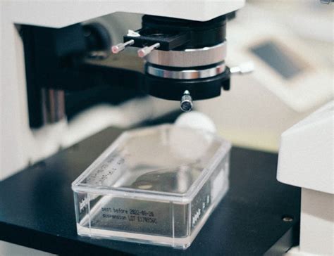 Silicon Nitride Si3n4 Overview And Applications Sintx Technologies