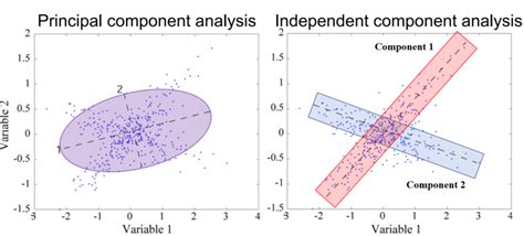 Intro To Ica Lunatic Laboratories