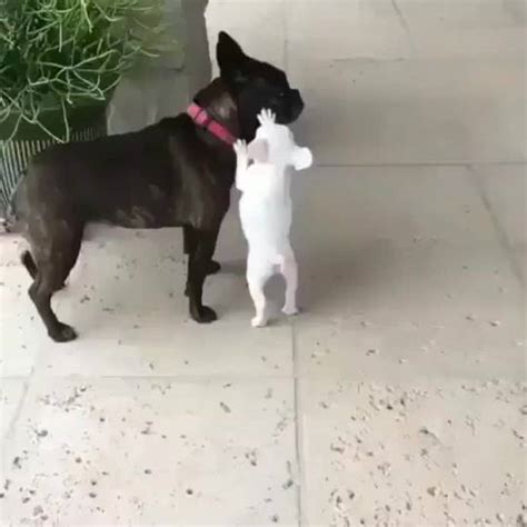 Are You My Mommy Scrolller