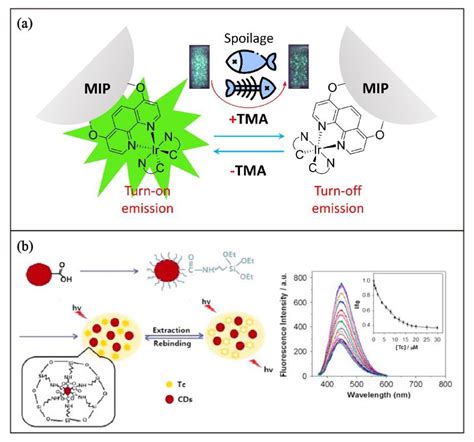 Molecularly Imprinted Polymer Based Luminescent Chemosensors