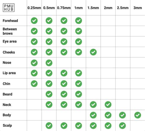 Microneedling Depth Guide Through Areas Concerns 54 OFF