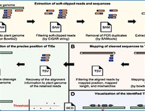 Rare Seq An Ultrasensitive Method For Detection Of Cell Free Rna Rna Seq Blog