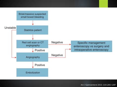 Obscure Gi Bleeding Pptx Digestive Disorders Diseases And Conditions