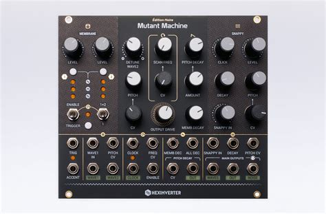 Erica Synths Mutant Machine