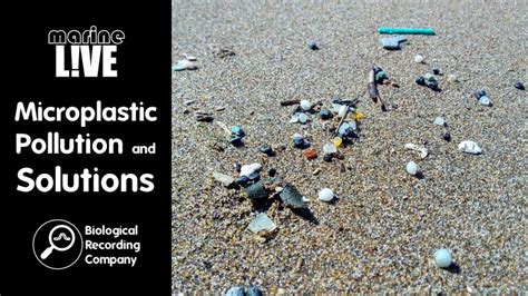 🌍 Free Webinar Microplastic Pollution And Solutions Keiron Derek Brown
