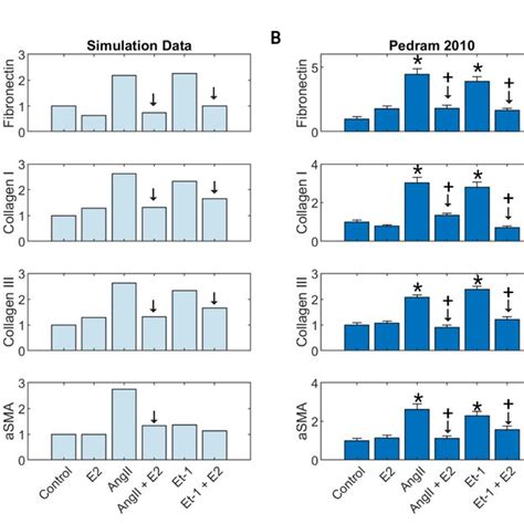 Cardiac Fibroblast Signaling Network Model Snm Integrated With