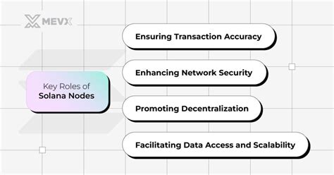 Understanding Solana Nodes Powering The High Performance Blockchain Platform Trading Mevx
