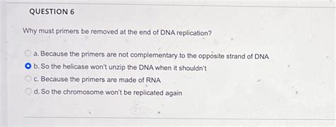 Solved Question 6why Must Primers Be Removed At The End Of