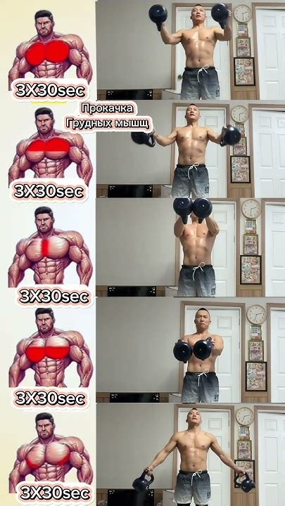 Прокачка грудных мышц с гантелями гирями спорт трансформация Workout Selfmade спортдома