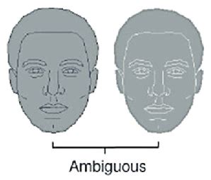 SEQ Figure ARABIC 3 Download Scientific Diagram
