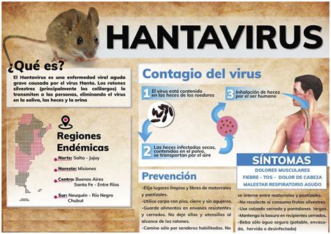 Hantavirus Sancor Salud Se Suma A La Campaña De Concientización