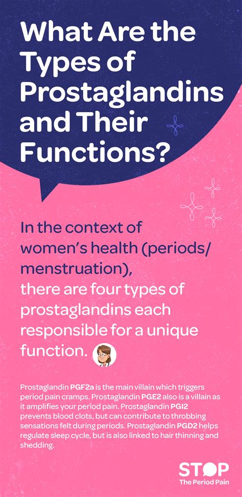 What Are The Types Of Prostaglandins And Their Functions