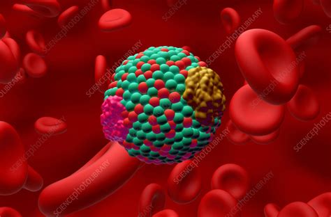 Low Density Lipoprotein Illustration Stock Image F0438571