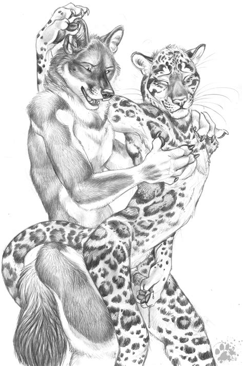 Rule 34 5 Fingers Animal Genitalia Animal Penis Anthro Anthro On