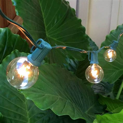Globe String Lights C7 Base Party Lights