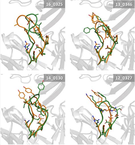 Antibody Antigen Binding Affinity Scoring Protocol The Antibodies With