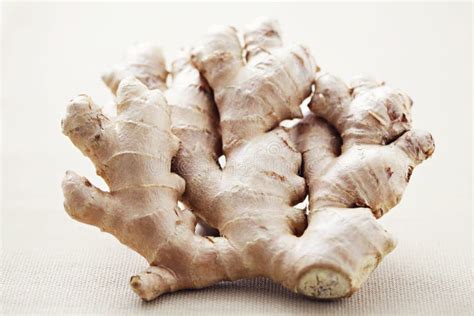 Jengibre Imagen De Archivo Imagen De Alimento Jengibre 9460799