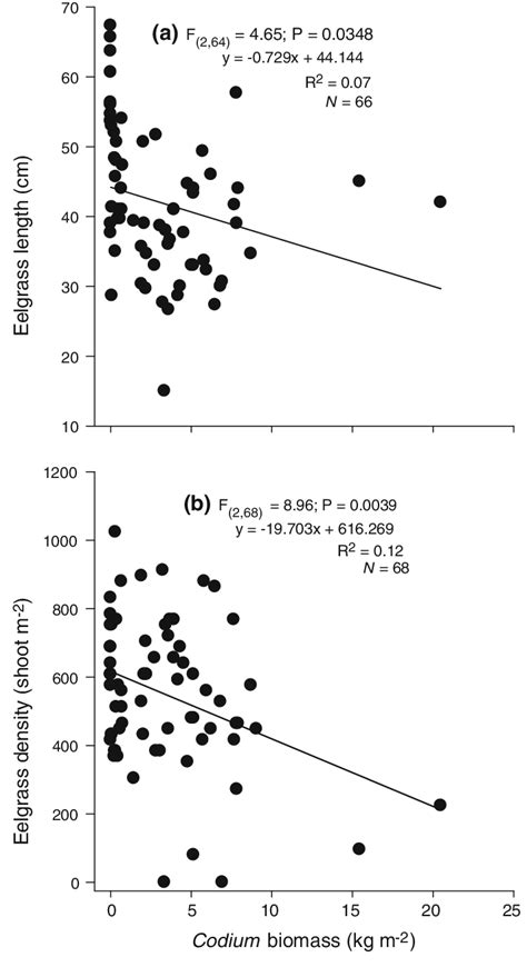 Relationship Between Codium Fragile Ssp Tomentosoides Biomass And Download Scientific Diagram