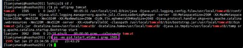 linux新手如何学习linux命令（常用选项） linux命令大全 手册