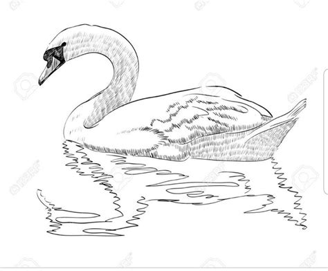 Pin Von Cindi Clements Auf Birds Animierte Smileys Smileys