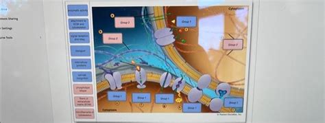 Solved Drag The Labels To The Appropriate Locations In