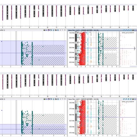 chromosomal snp microarray using dna from cultured amniocytes showing