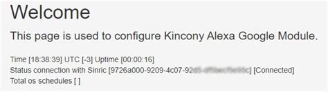 ESP Source Code For Alexa And Google Home Speaker Smart Home Automation KinCony