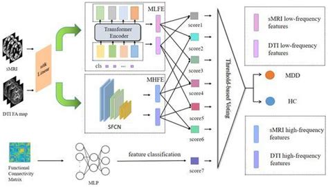 Automatic Diagnosis Of Major Depressive Disorder Using A High And… Reisel González Pérez