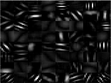 Convolutional Filters Selected By The First Layer Of The Chosen Download Scientific Diagram