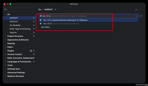Golang升级版本 升级golang版本 确认当前版本以及安装方式 ```shell Downloads 掘金