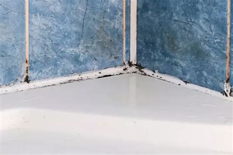 I Moved Into A Mould Filled Property But £3 Miracle Product Saved It The Mirror