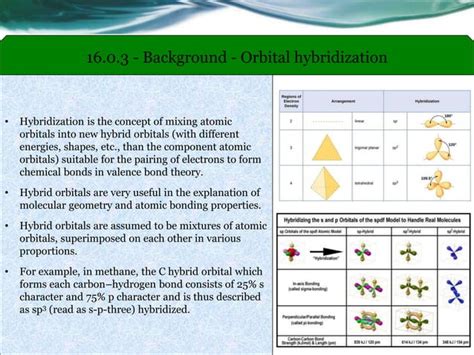 Chapter 16 hydrocarbons | PPTX