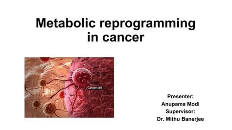 Metabolic Reprogramming In Cancer Anupama Modi Pptx