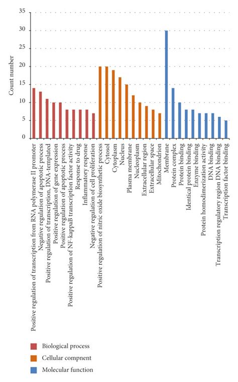 A Plp Potential Target Ad Target Network B Network Of The 33 Key