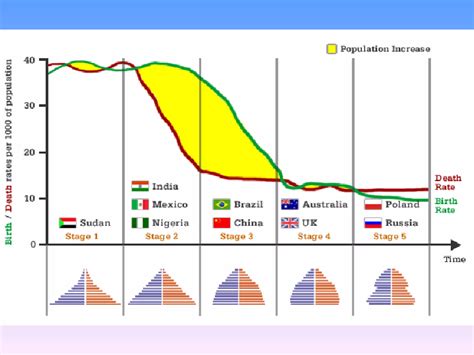 Population Structure Ppt Science