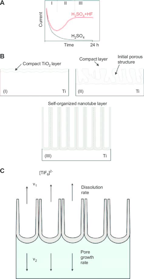 A Characteristic Current Transients For Ti Anodization With And