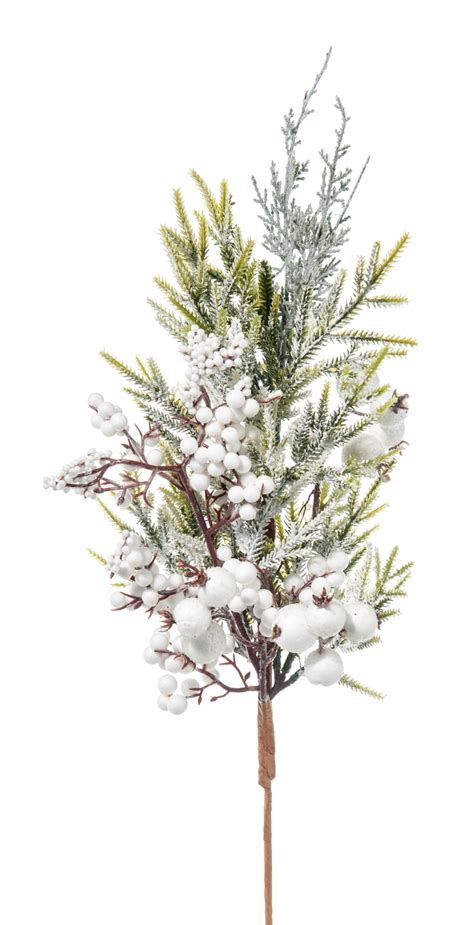 ΧΡΙΣΤΟΥΓΕΝΝΙΑΤΙΚΟ ΚΛΑΔΙ 55ΕΚ ΤΖΟΡΜΠΑΤΖΑΚΗΣ Tzormpatzakisflowers Gr