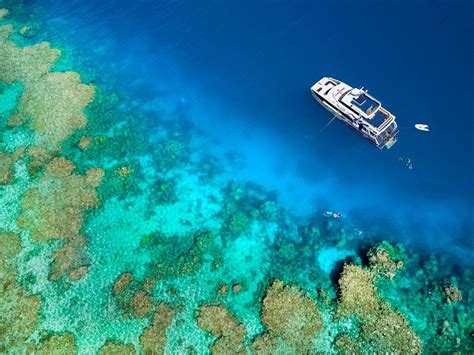 그레이트배리어리프 일일투어 스노클링 또는 스쿠버다이빙 Aquaquest 줌줌투어 호주 케언즈