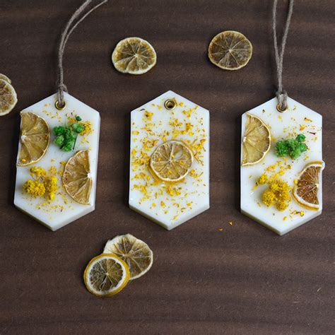 Wax Sachets Archives Aniora