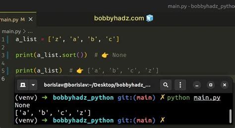 Вывод None в Python