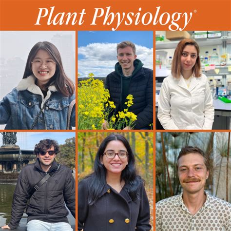 Plantae The Digital Ecosystem For Plant Science