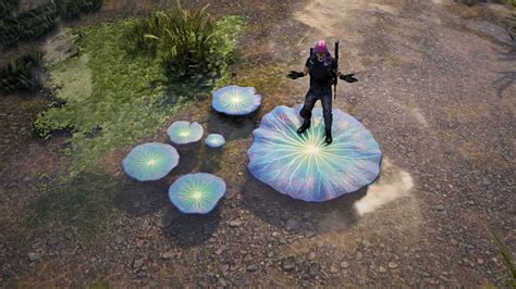 Where Can You Find All The Lily Pad Puzzles In Once Human
