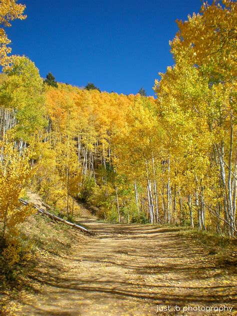 Aspen Vista Trail Colorful Fall Landscapes Above Santa Fe Nm