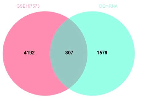 Venn Plot Of Demrnas Of Gse167573 And This Study Download Scientific